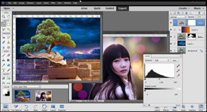 Photoshop Elements 15 Training